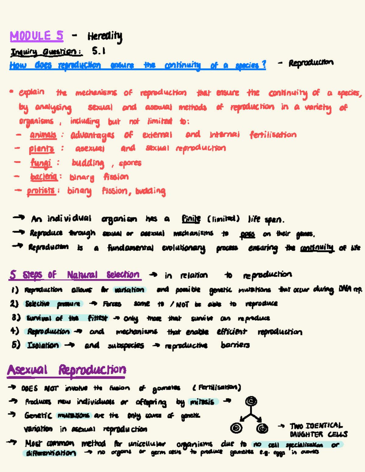 Biology Module 5 Notes: Reproduction Mechanisms & Species Continuity ...