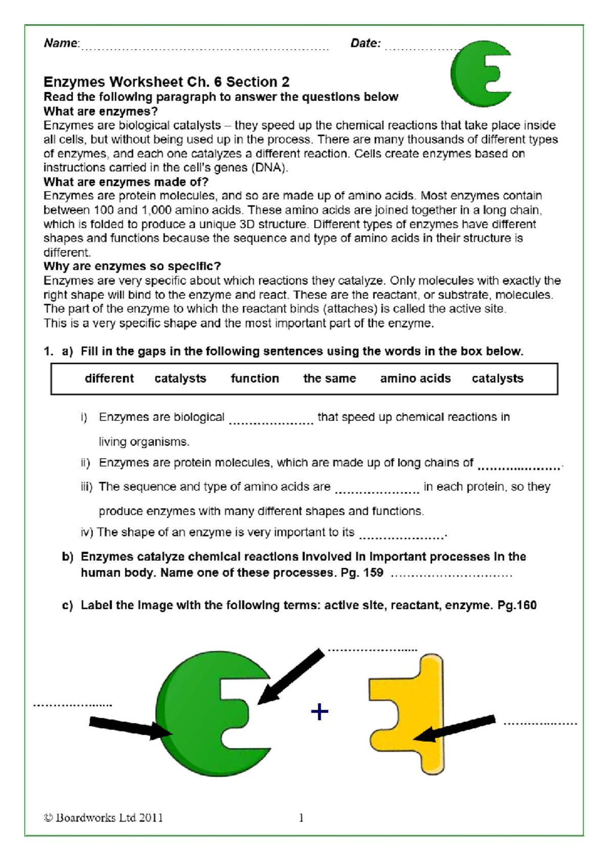 Enzymes Worksheet Ch. 6 Sec. 2: Structure, Function & Digestion - Studocu