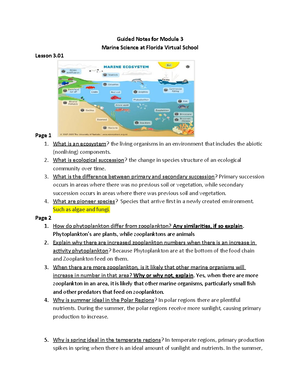 Making inferences Critical Thinking 1.03 DONE - Making Inferences ...