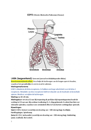 Samenvatting Tractus Urinarius - Ross en Wilson Anatomie en Fysiologie ...