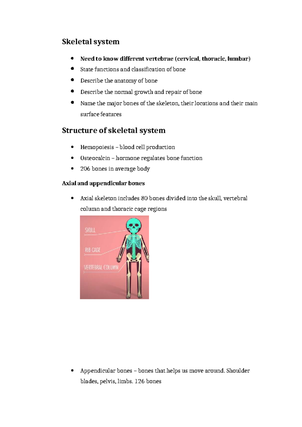 HAP skeletal system: Overview of vertebrae, bone anatomy, and functions ...