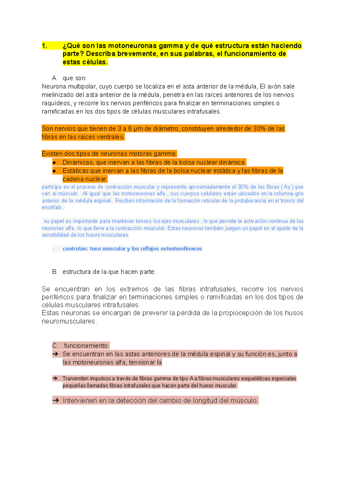 Motoneuronas Gamma: Función y Estructura en la Contracción Muscular ...