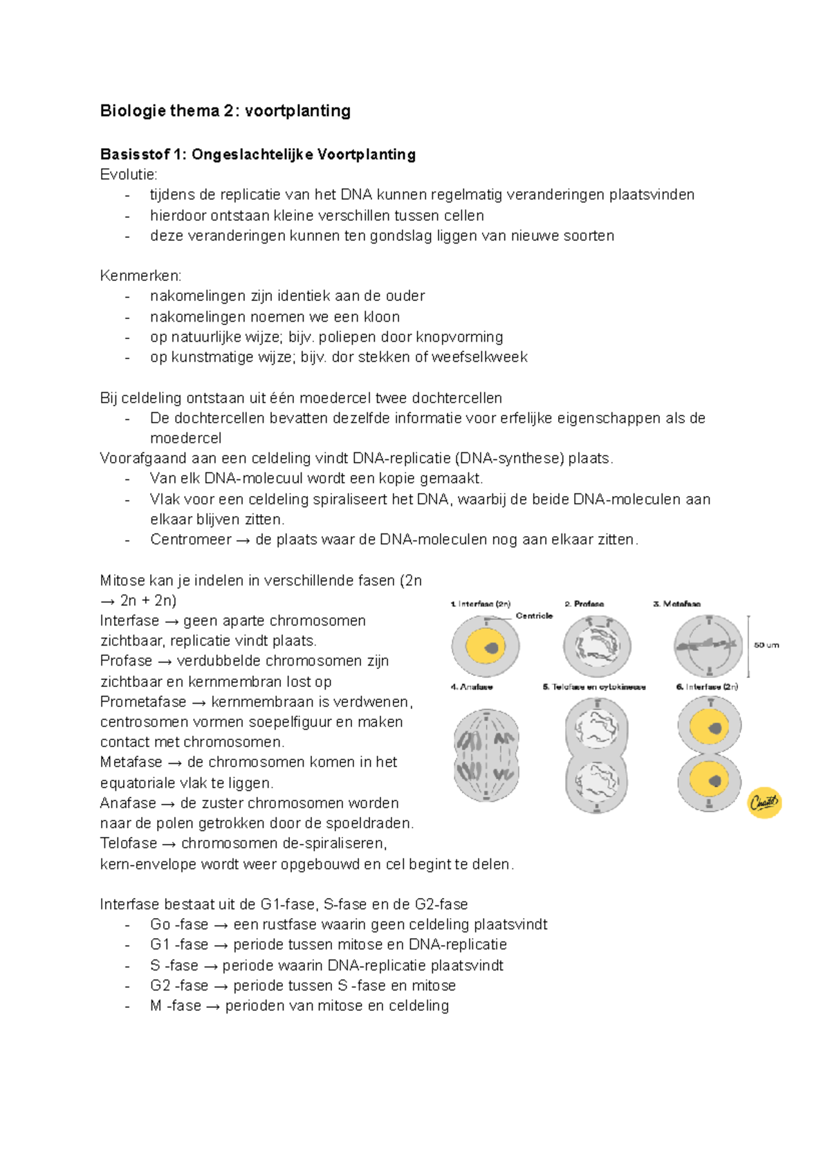Biologie V4 Hoofdstuk 2: Voortplanting - Samenvatting en Cijfer 9.2 ...