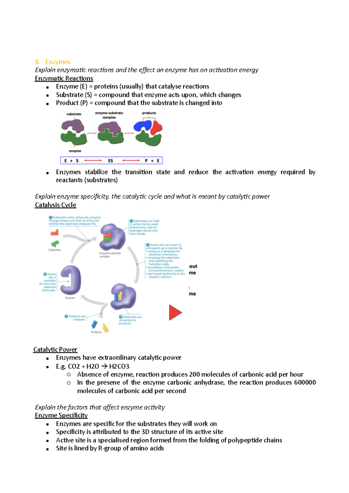 Enzymes lecture - Enzymes Explain enzyma-c reac-ons and the effect an ...