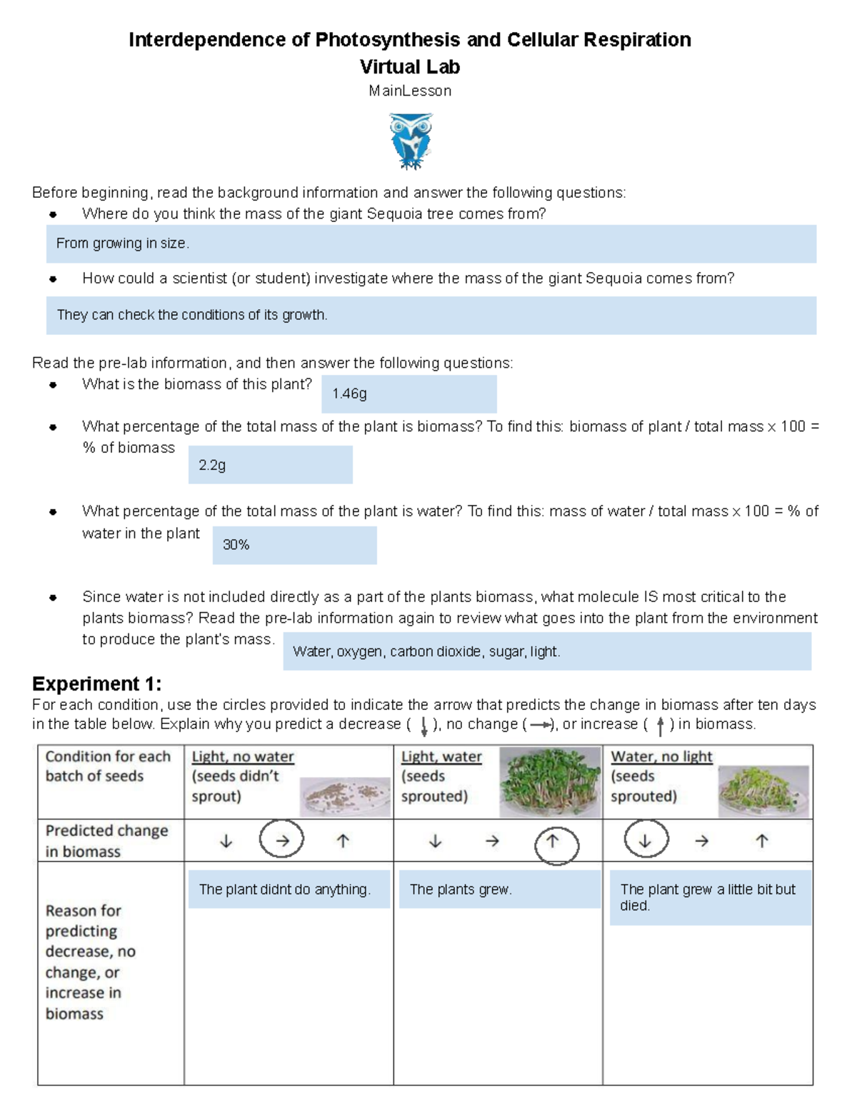 Photosynthesis & Cellular Respiration Virtual Lab (Main Lesson) - Studocu