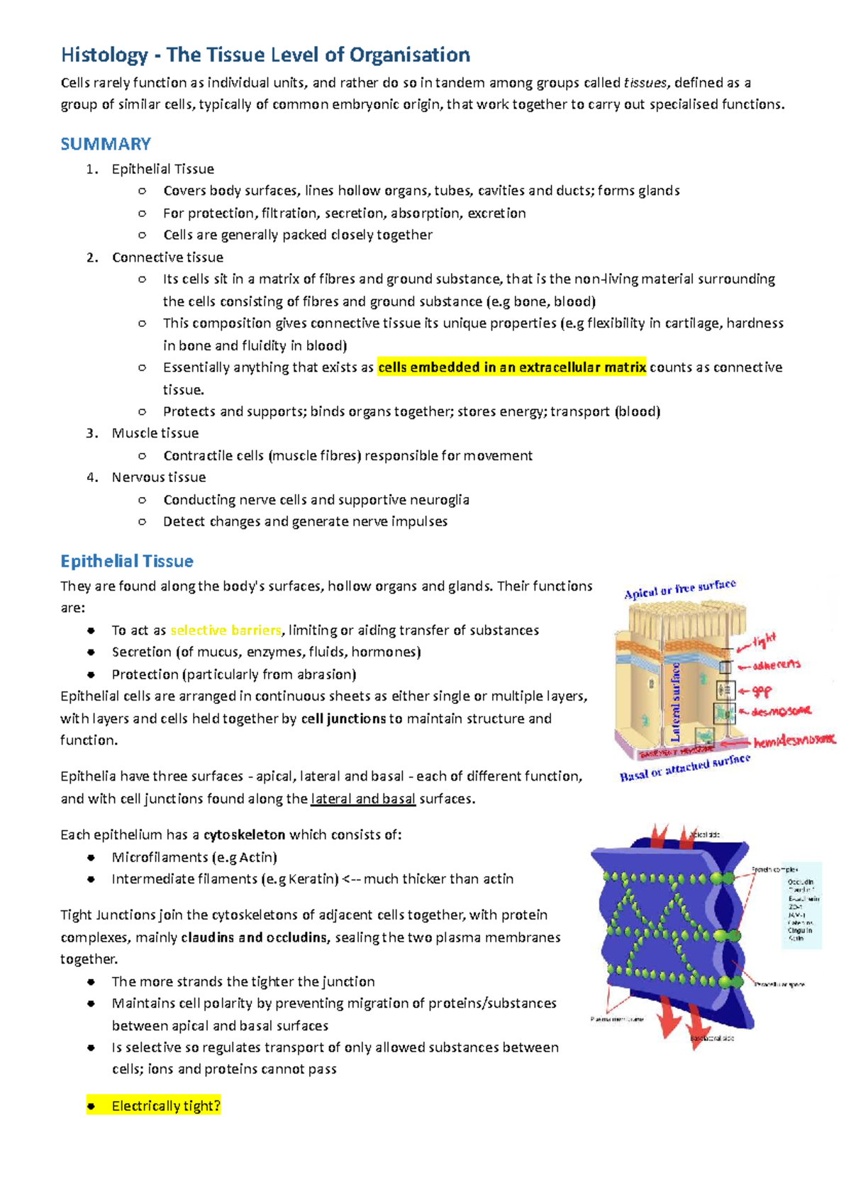 BIOSCI 107 Lecture 2: Comprehensive Notes on Histology & Epithelia ...