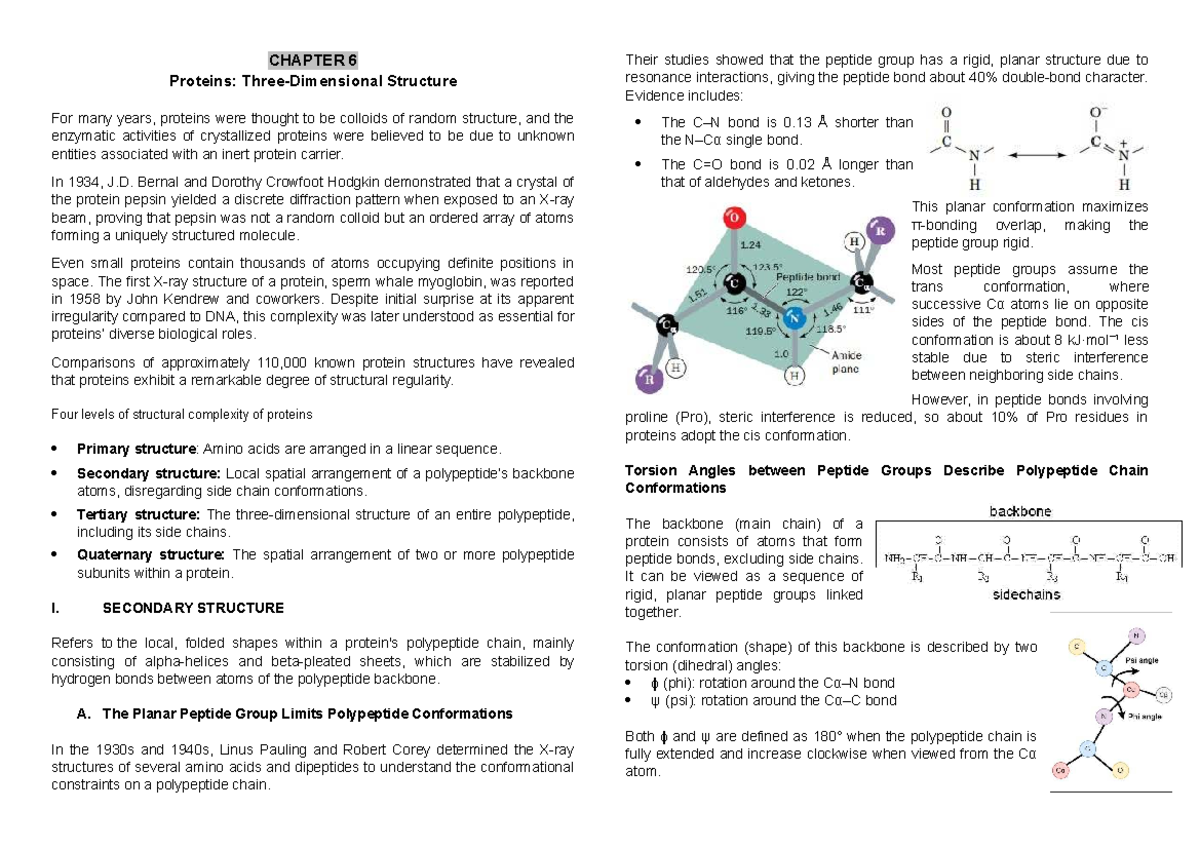 CHAPTER 6 Proteins: 3D Structure Notes - Studocu
