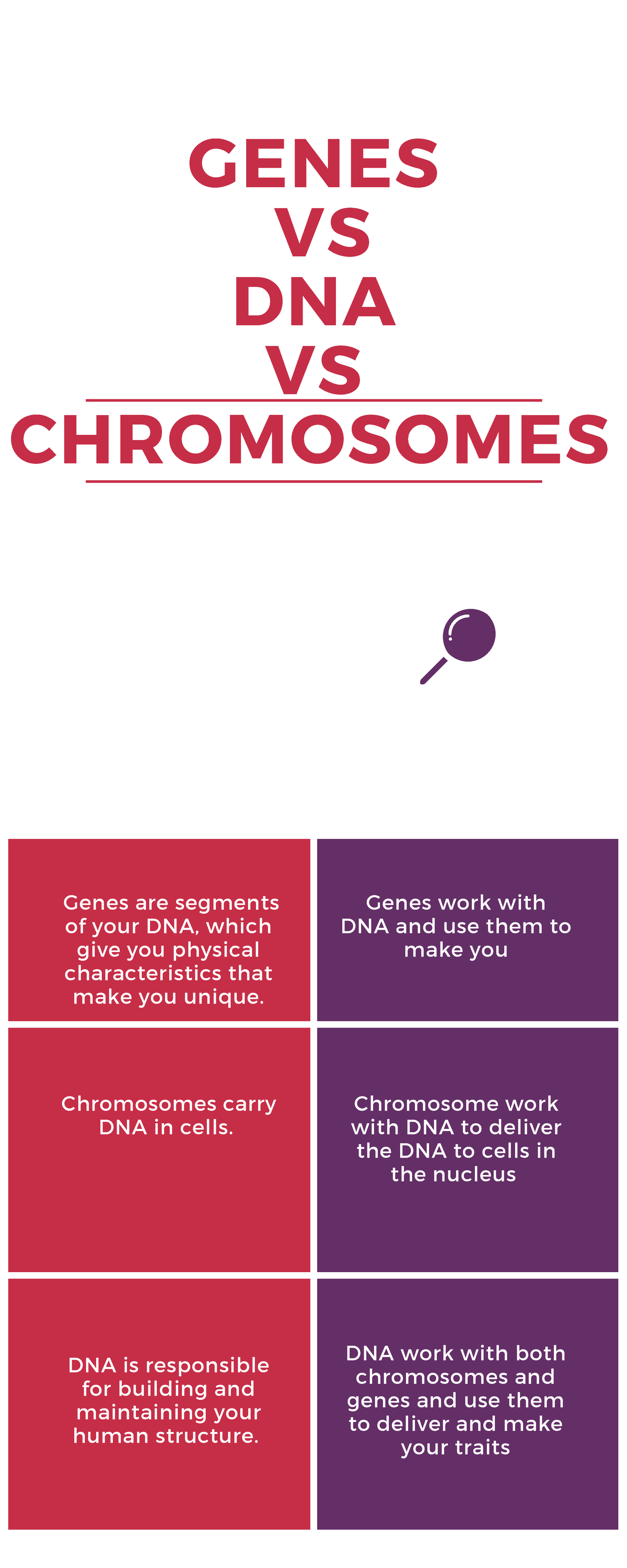 Fiction - gfdsdf - GENES VS DNA VS CHROMOSOMES Fictional literature is made from the imagination ...