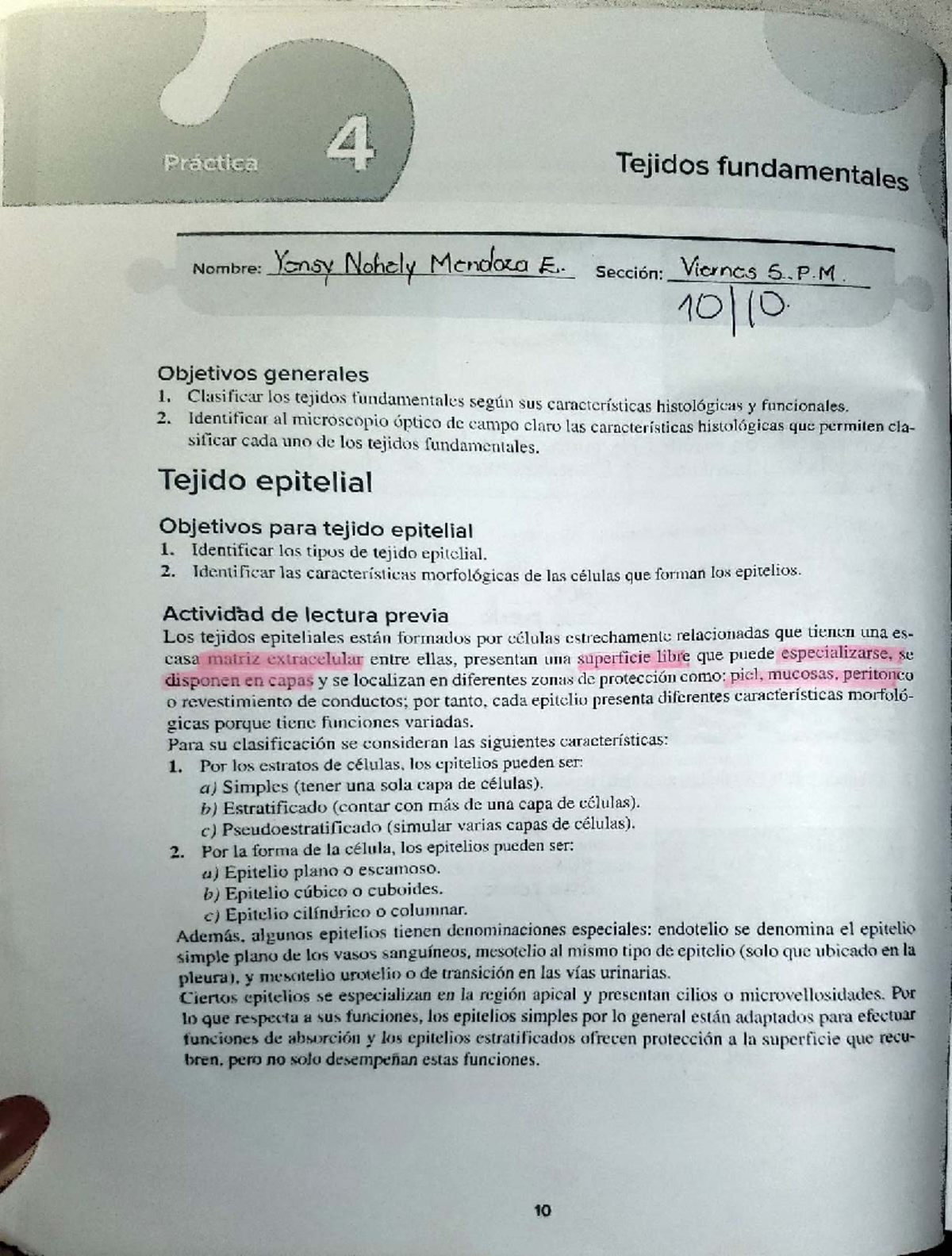 Práctica de Laboratorio: Tejidos Fundamentales - Histología (YNSE ...