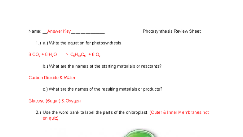 AK - Photosynthesis & Cell Respiration Review Sheet - Studocu
