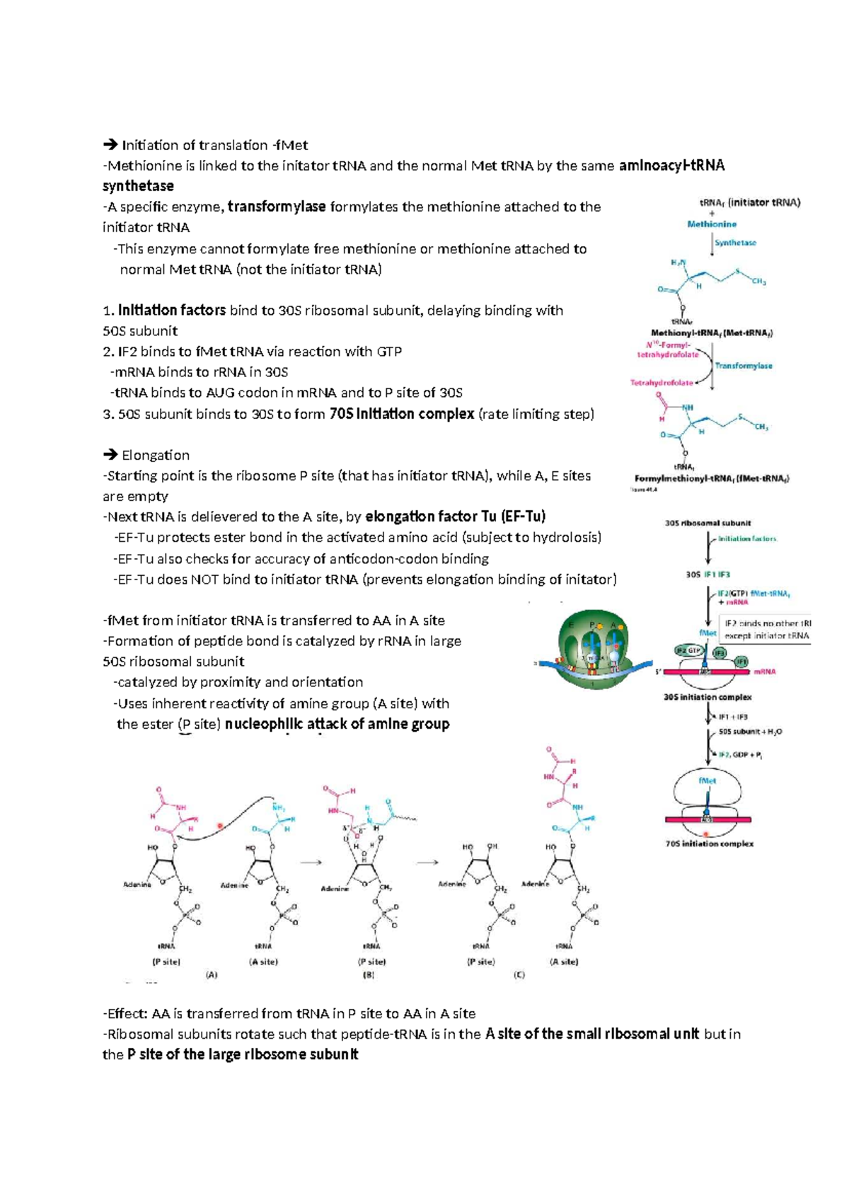 Lecture 22: Initiation and Elongation of Translation in Biochemistry ...
