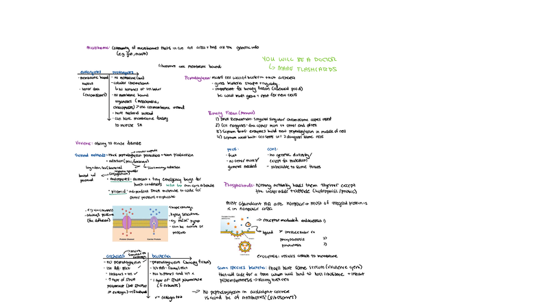 Chapter 26 - Prokaryotes: Metabolic Diversity and Energy Sources - Studocu