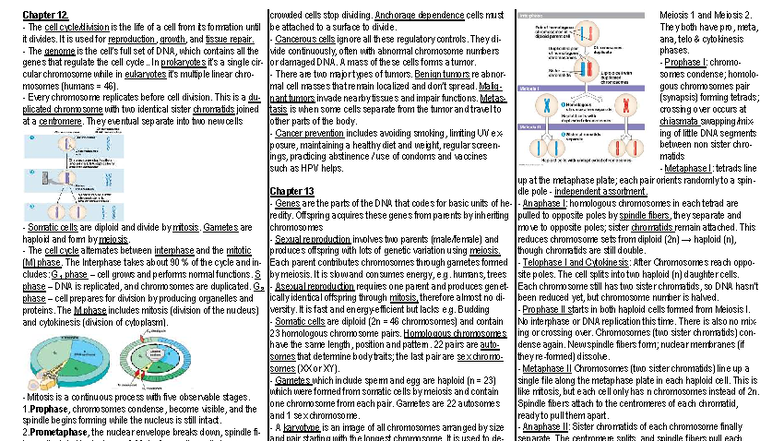 Cheat Sheet for Exam 3: Cell Division & Cancer (BIO 101) - Studocu
