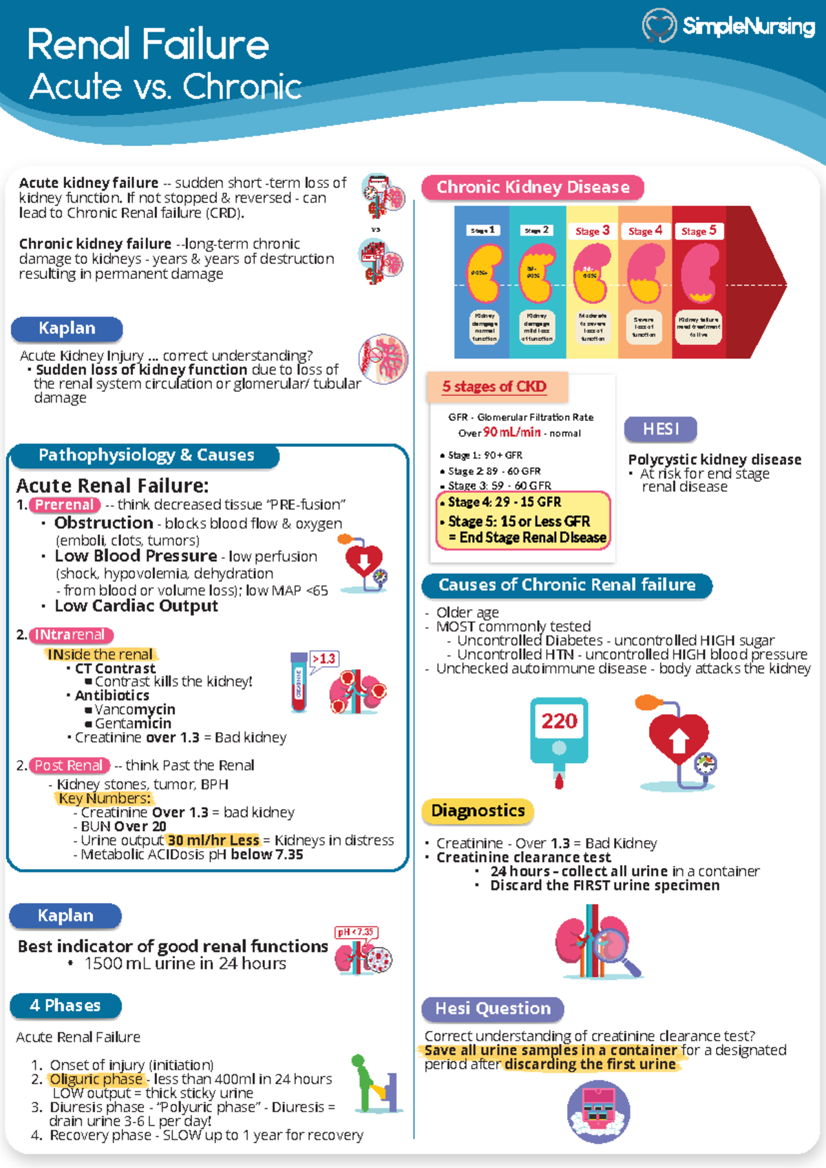 Renal Failure vs. Chronic 1 - Acute vs. Chronic Renal Failure Acute ...