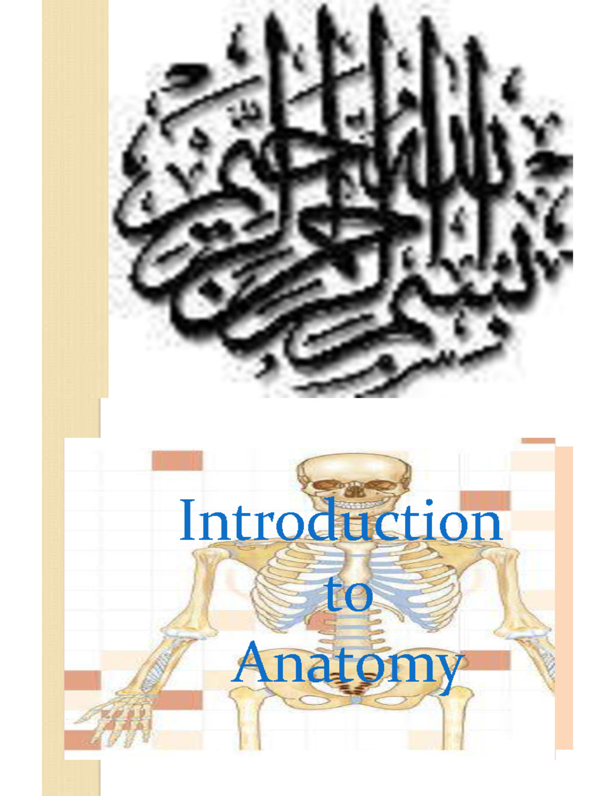 Introductionto Anatomy - Introduction to Anatomy Introduction to ...