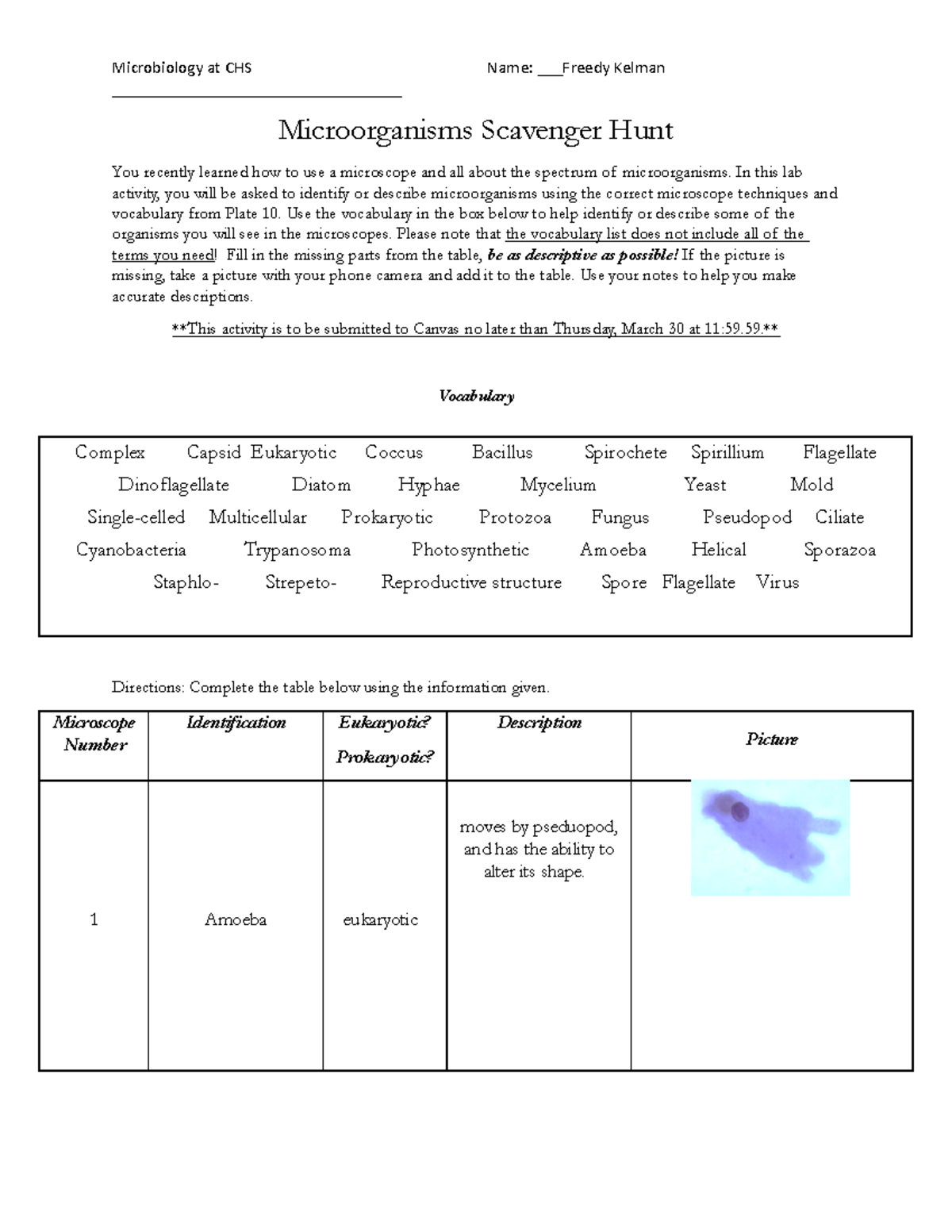 Microorganisms Scavenger Hunt Lab Activity - BIO101 - Studocu