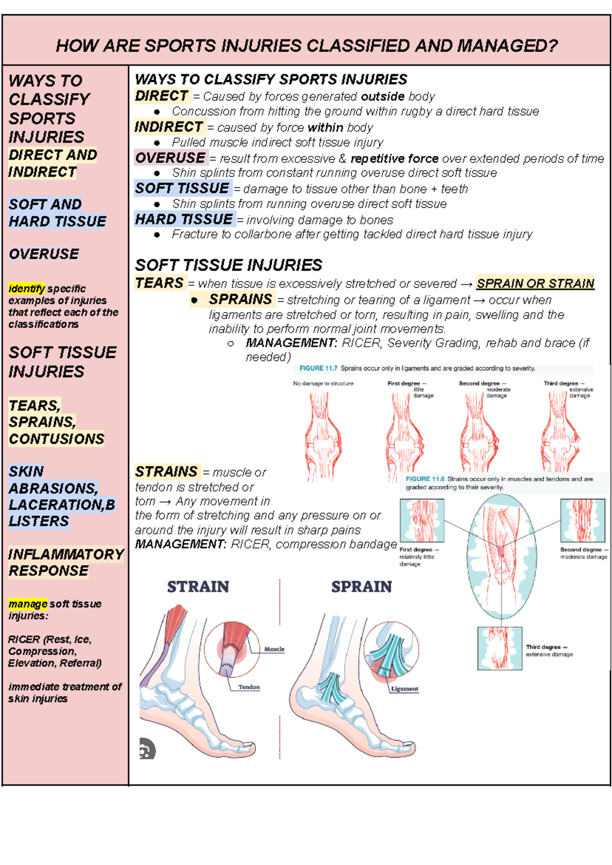 Option 3 Sports MED - Injury Classification and Management Notes - Studocu