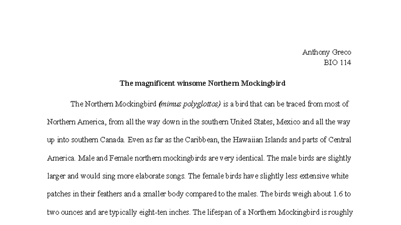 BIO 114 Lab Report: The Fascinating Northern Mockingbird - Studocu
