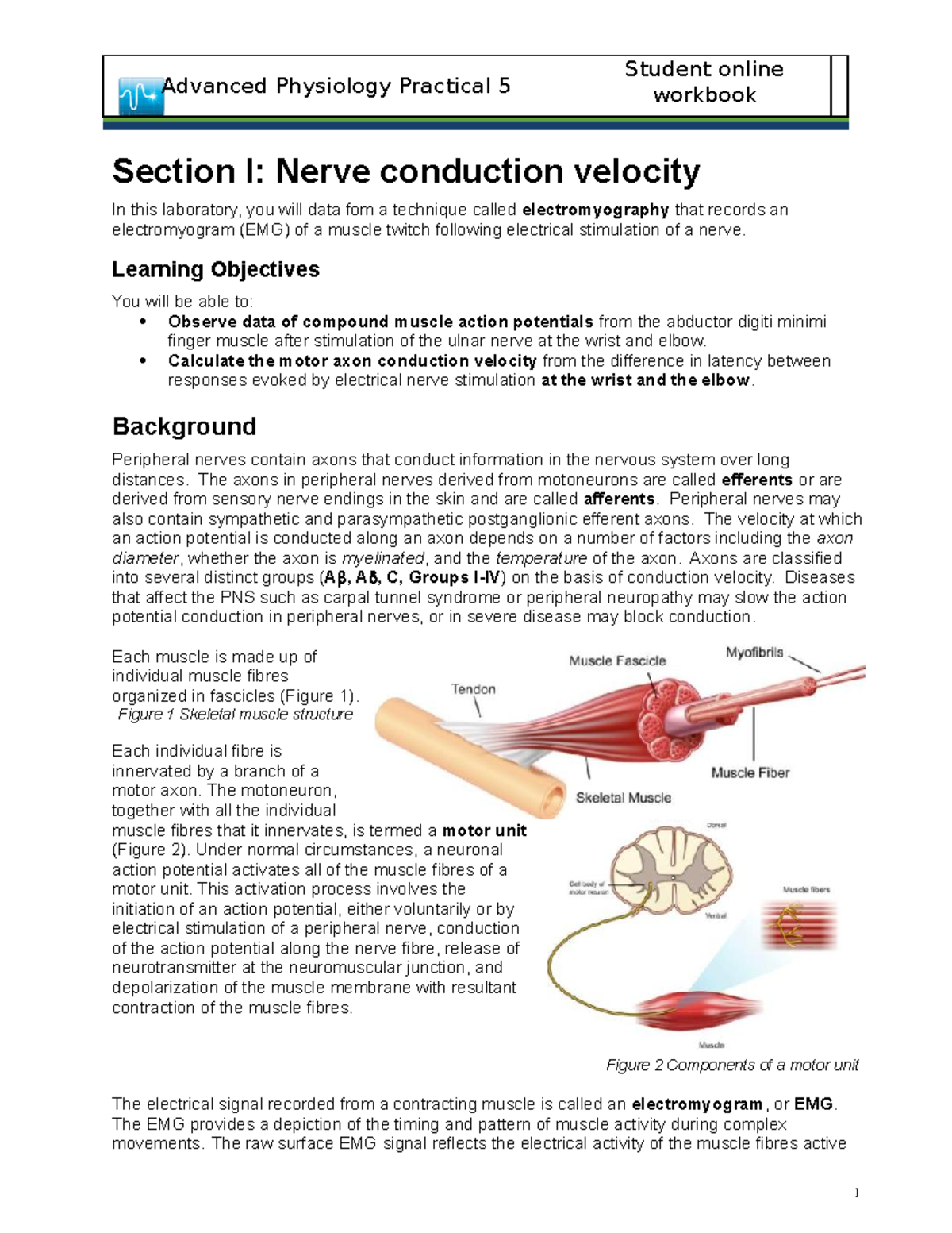 Advanced Physiol Prac 5 - Advanced Physiology Practical 5 workbook ...