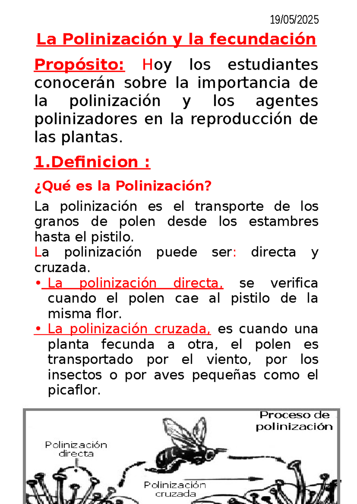 Polinización y Fecundación: Importancia en la Reproducción de Plantas ...