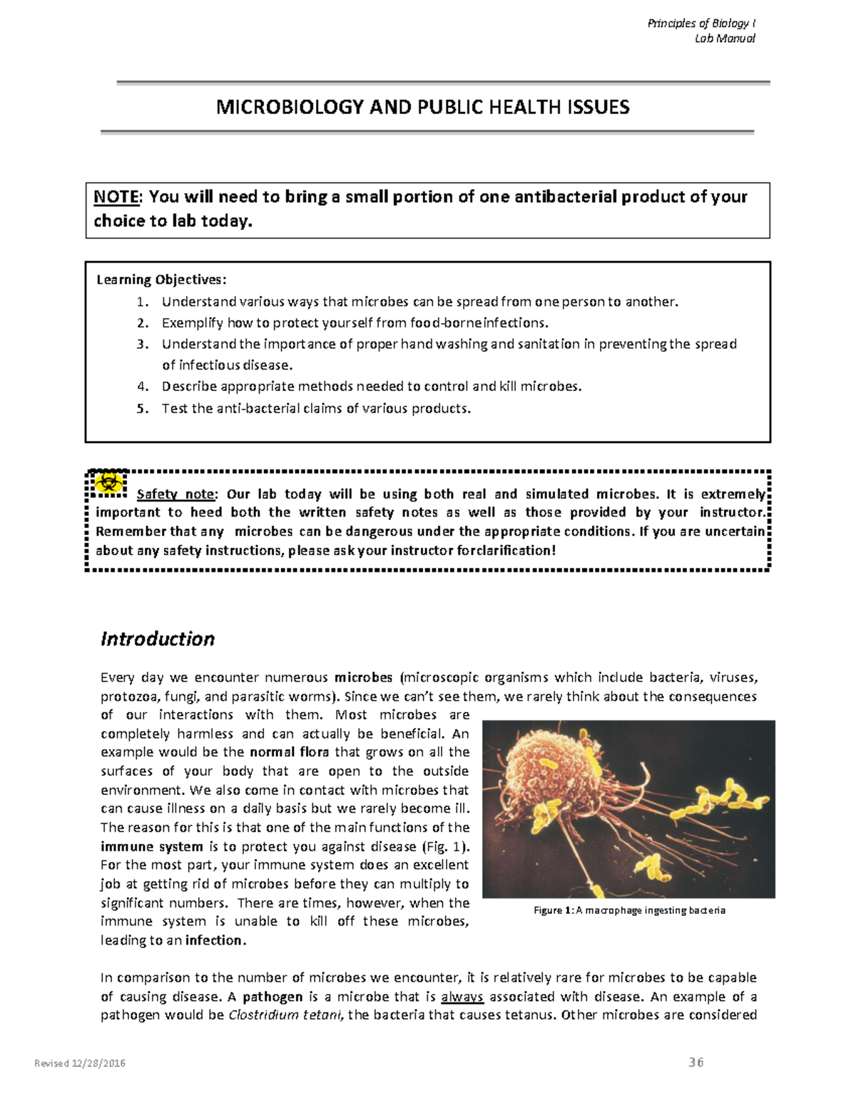 Principles of Biology I Lab Manual: Microbial Transmission Experiments ...