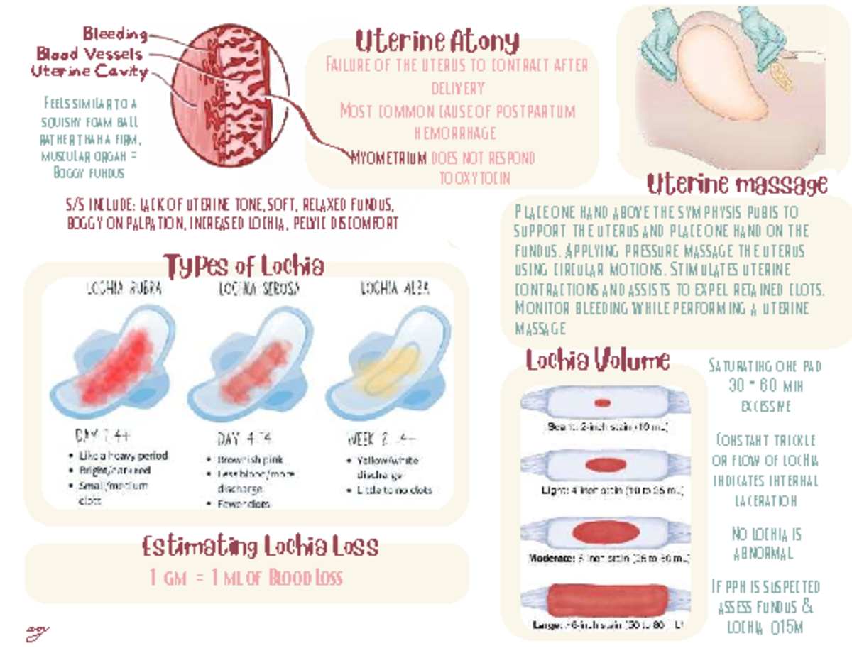 Uterine Atony Cheat Sheet: Postpartum Hemorrhage Insights - Studocu