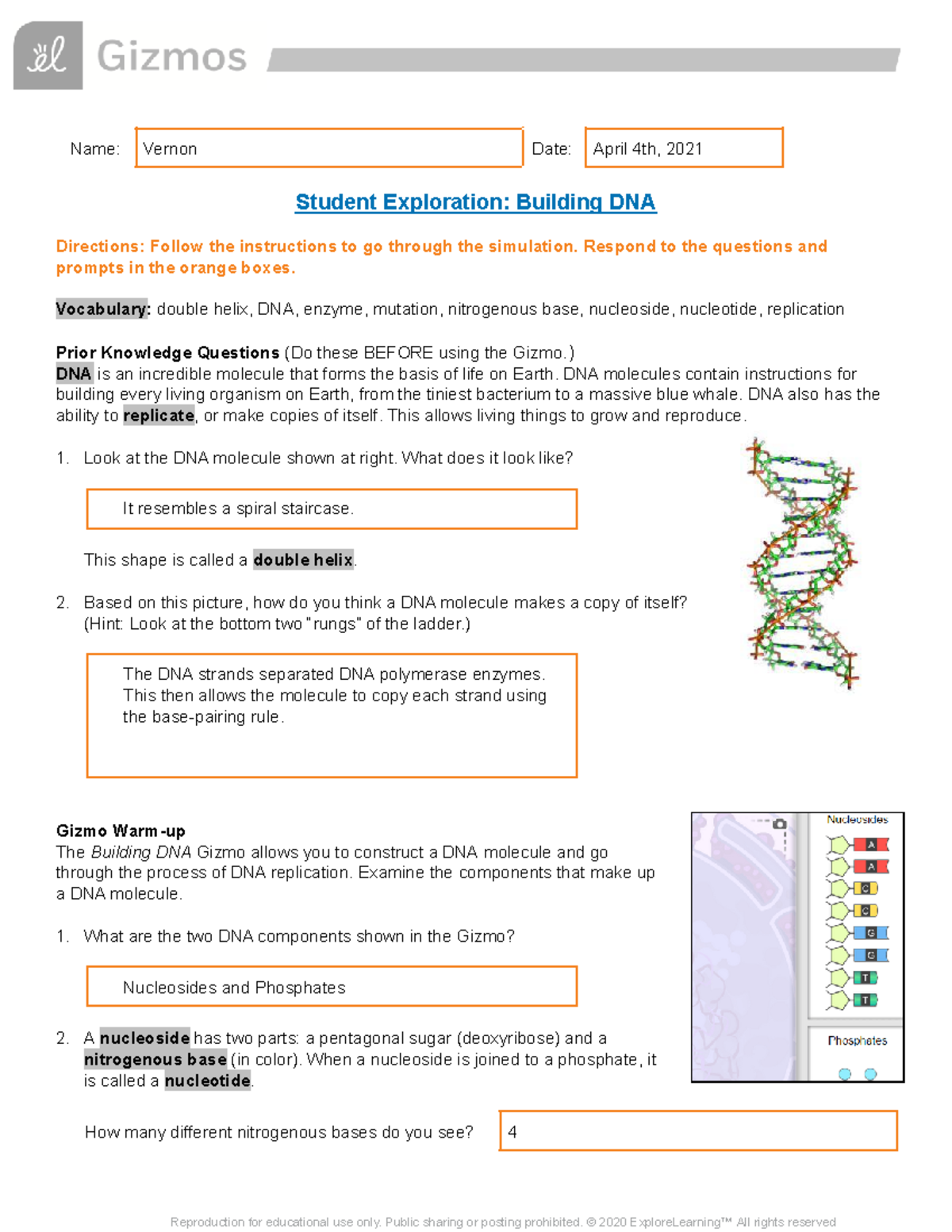 DNA Gizmo Exploration - Simulation Answers and Key Concepts - Studocu
