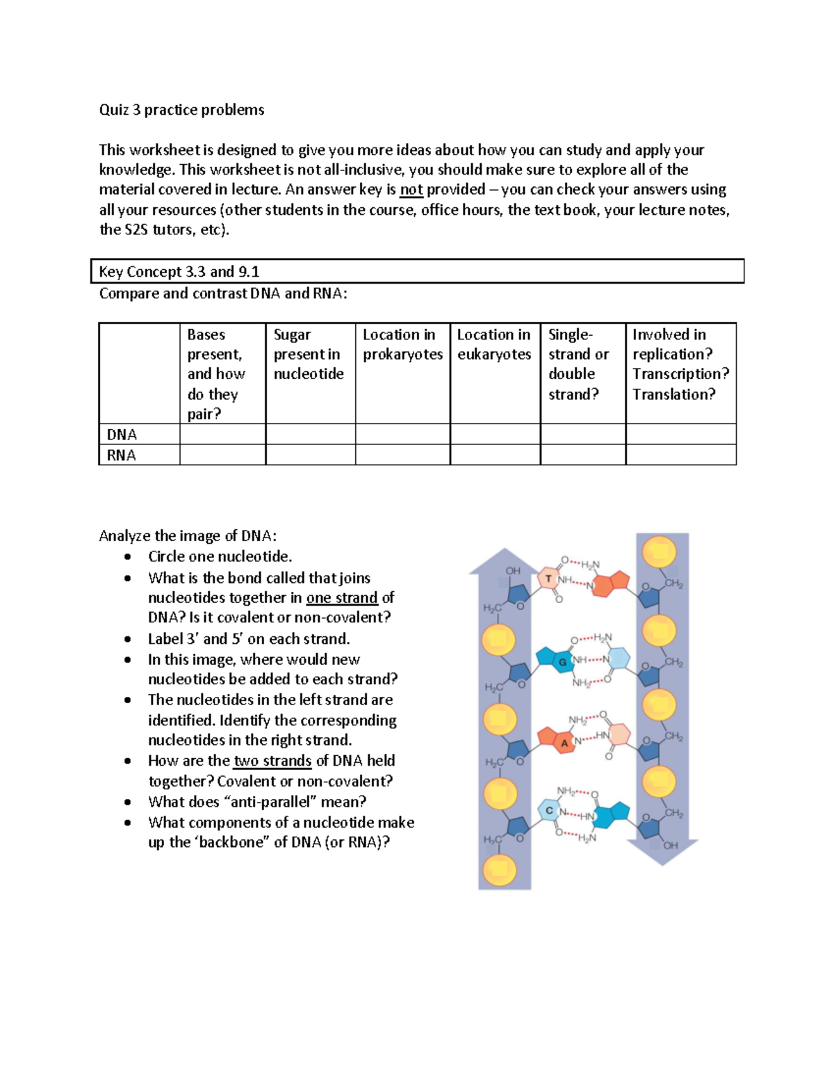 Quiz 3 Practice Problems: DNA & RNA Concepts A2 - Studocu