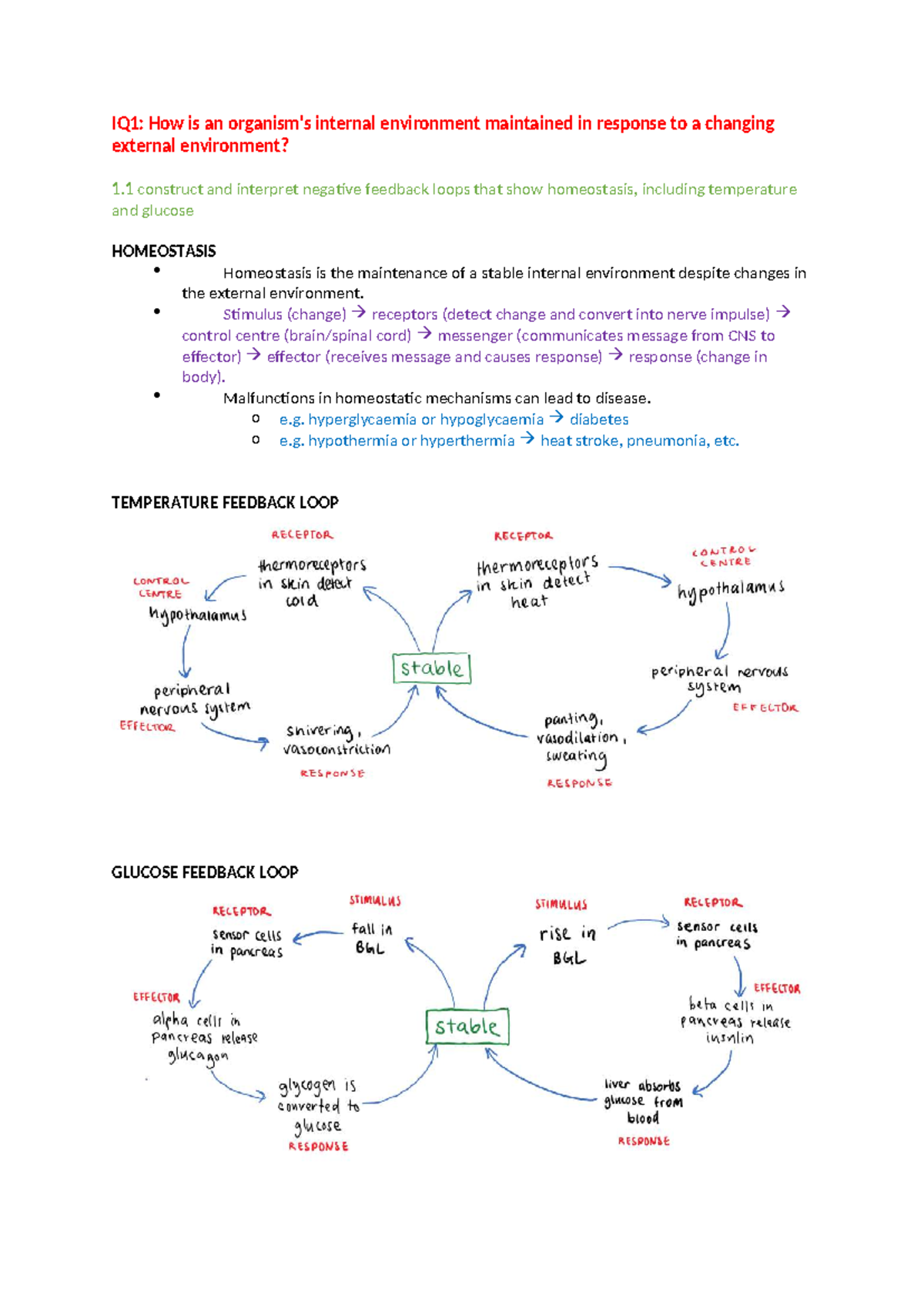 Module 8: Homeostasis, Disease, and Epidemiology Summary Notes - Studocu