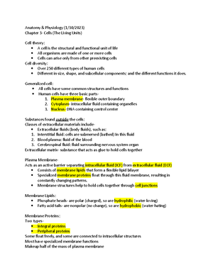 A&P notes 9-24-2024 - Anatomical Directions and Planes A. Understanding ...