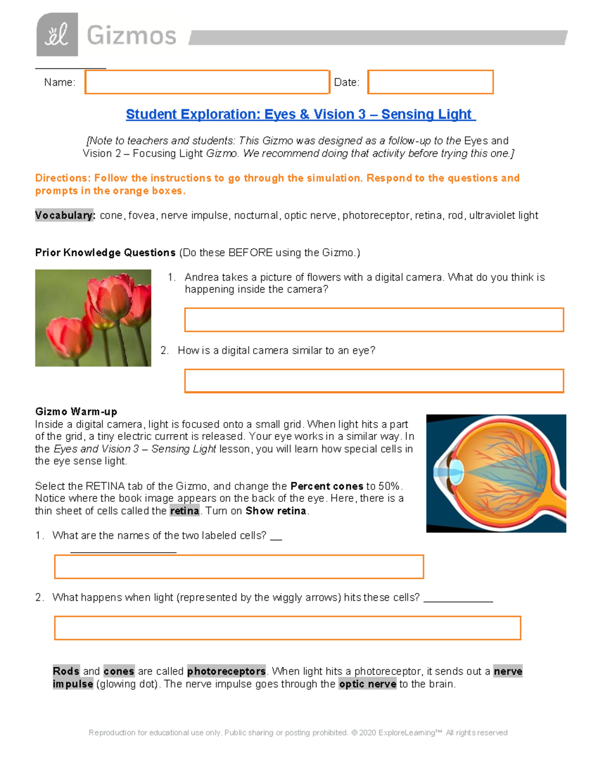 Eyes and Vision 3: Sensing Light Gizmo Exploration Assignment - Studocu