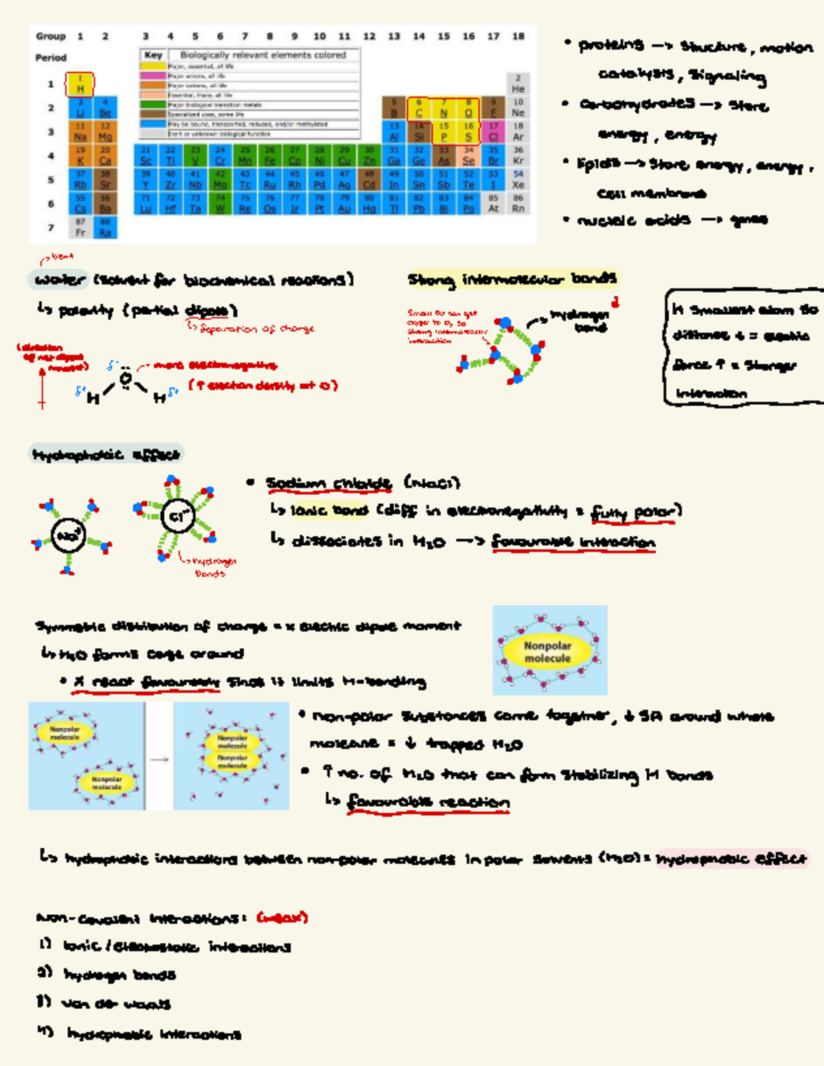 Proteins and Their Functions: A Comprehensive Study (CHEM 271) - Studocu