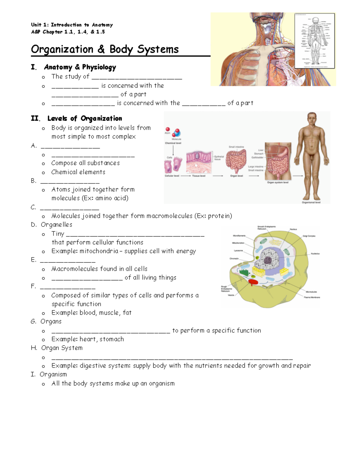 A&P Chapter 1: Organization of the Human Body and Systems - Studocu