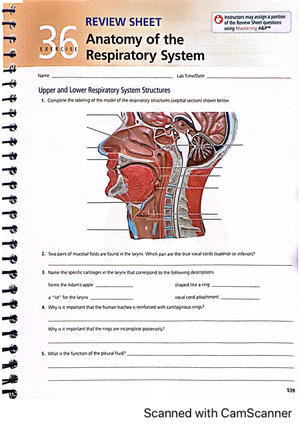 Exercise 35 Review: Lymphatic & Immune System Overview - Studocu
