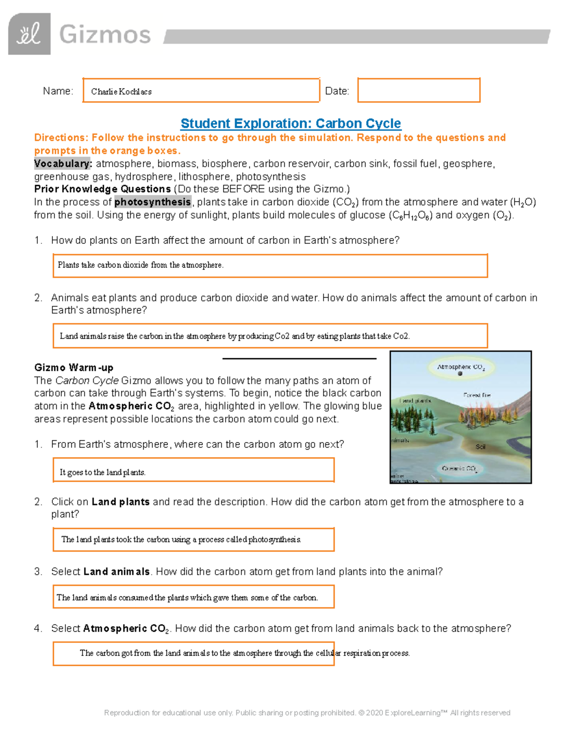 Carbon Cycle Gizmo Answer Key