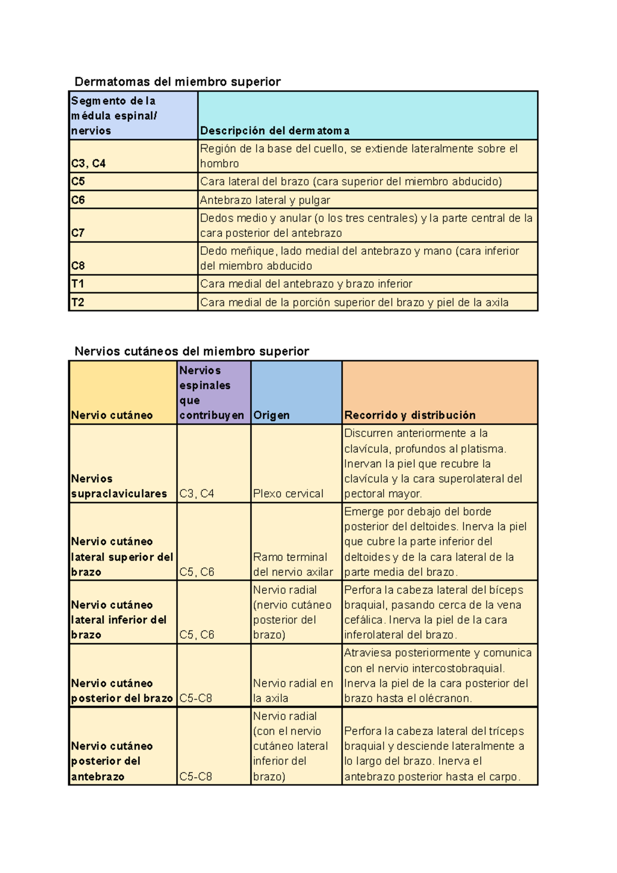 Dermatomas Brazo Mano Anatomia