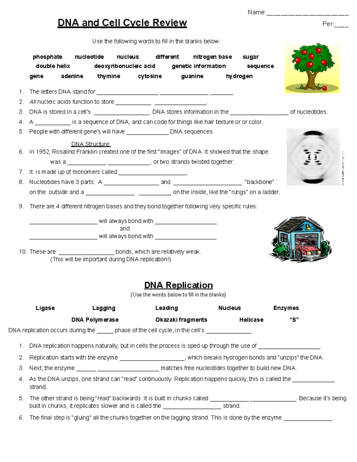 01 21 - Cell Cycle and DNA Review - Name:_______________________ DNA ...