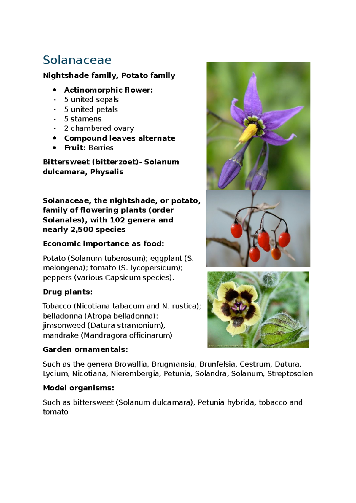 Study of Key Plant Families: Solanaceae, Brassicaceae, Apiaceae ...