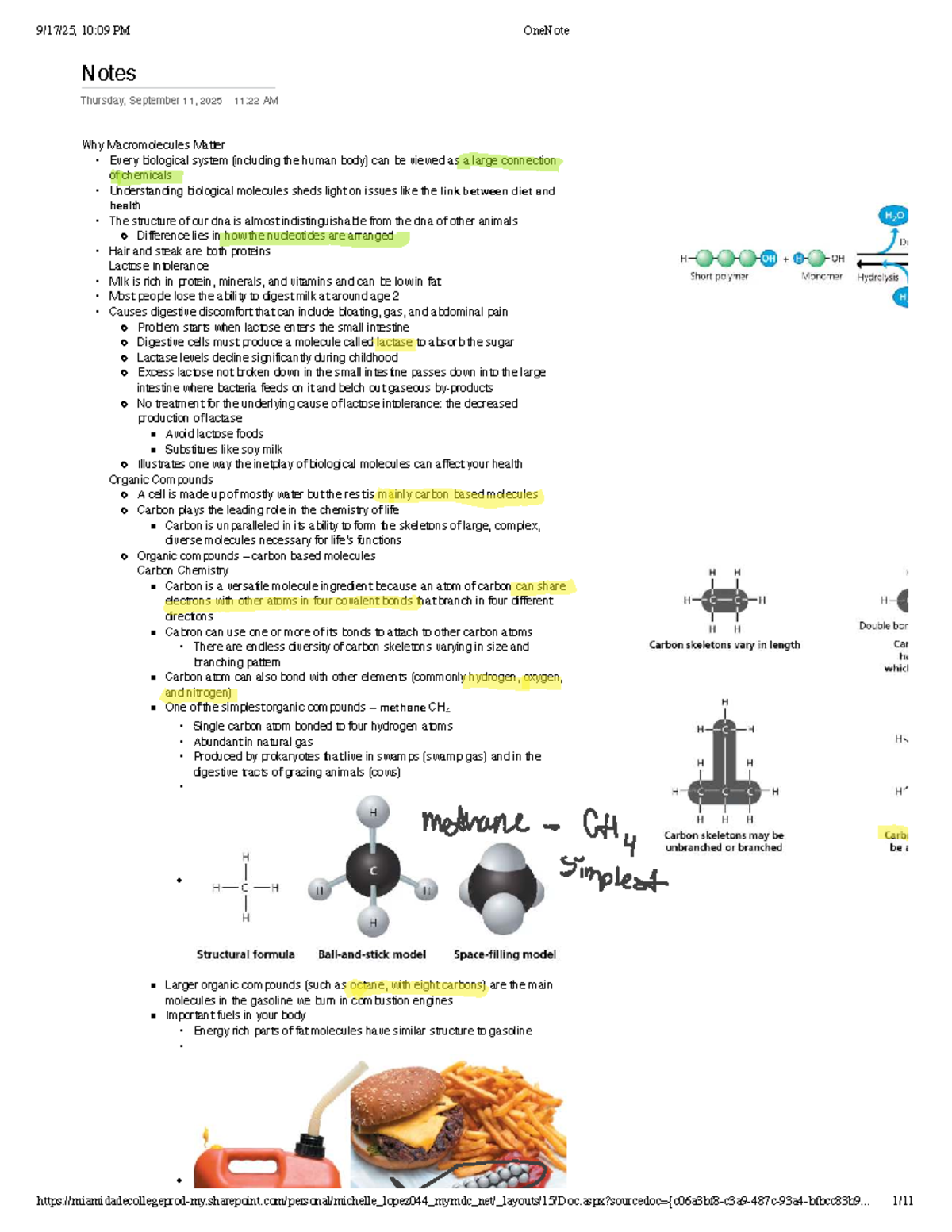 BSC1005 Final Exam Study Notes: Macromolecules & Biological Chemistry ...