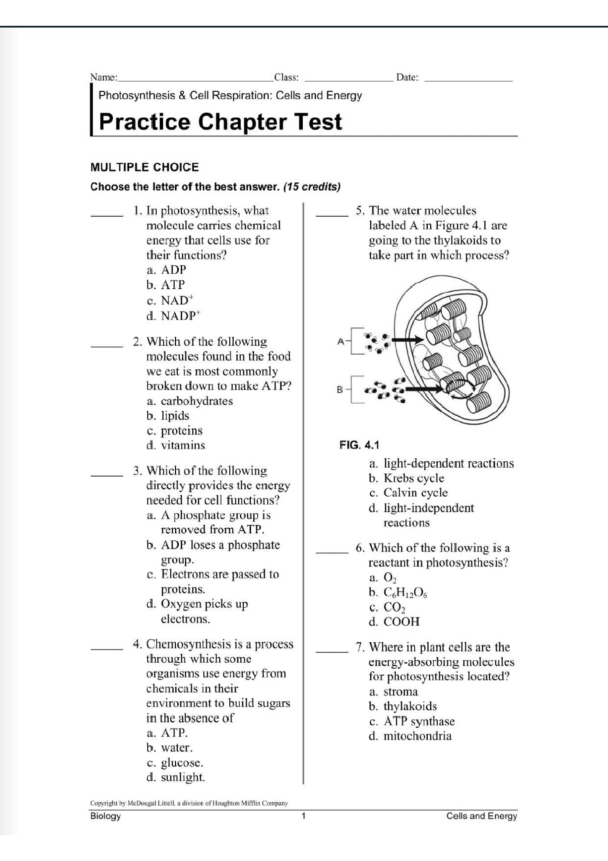 Quiz 5 - Biology Practice: Photosynthesis & Cellular Respiration - Studocu