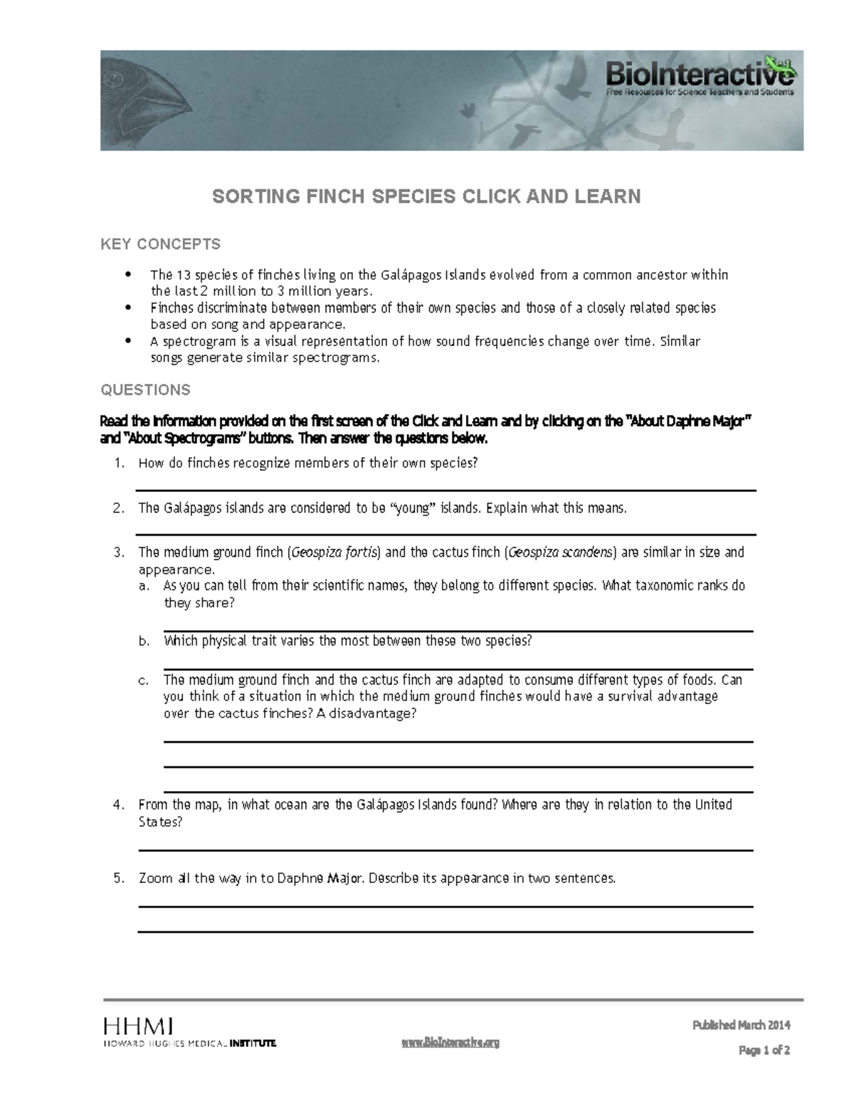 Lab 12 - Sorting Finch Species Worksheet - The Origin of Species The ...