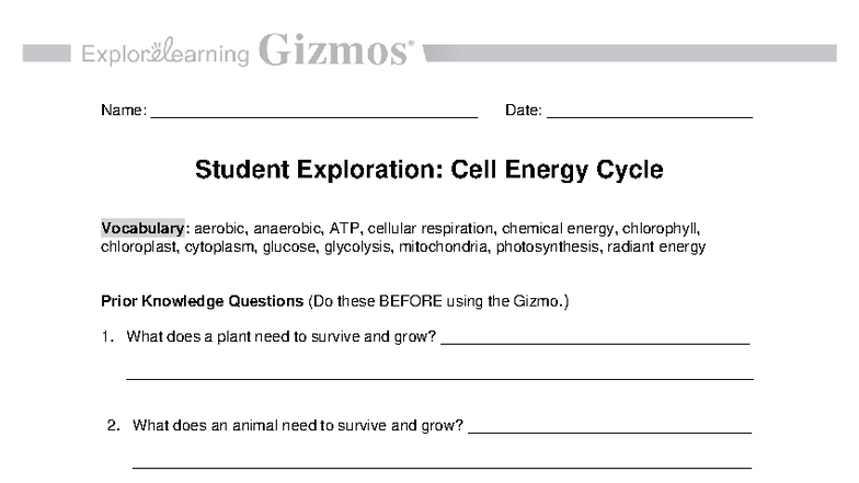 NEW Chapter 9 Cell Energy Cycle Gizmos Lab - Studocu