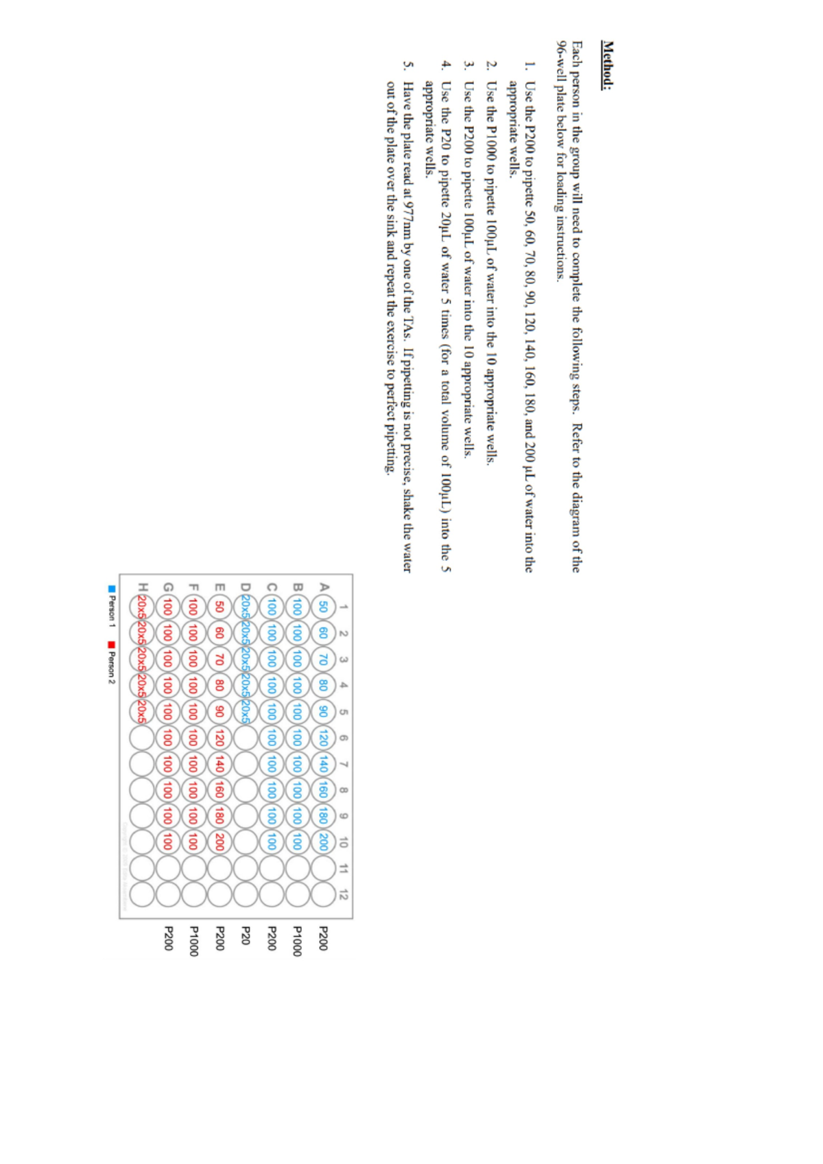 Molecular Bio lab protocol 1 - Method: Each person in the group will ...