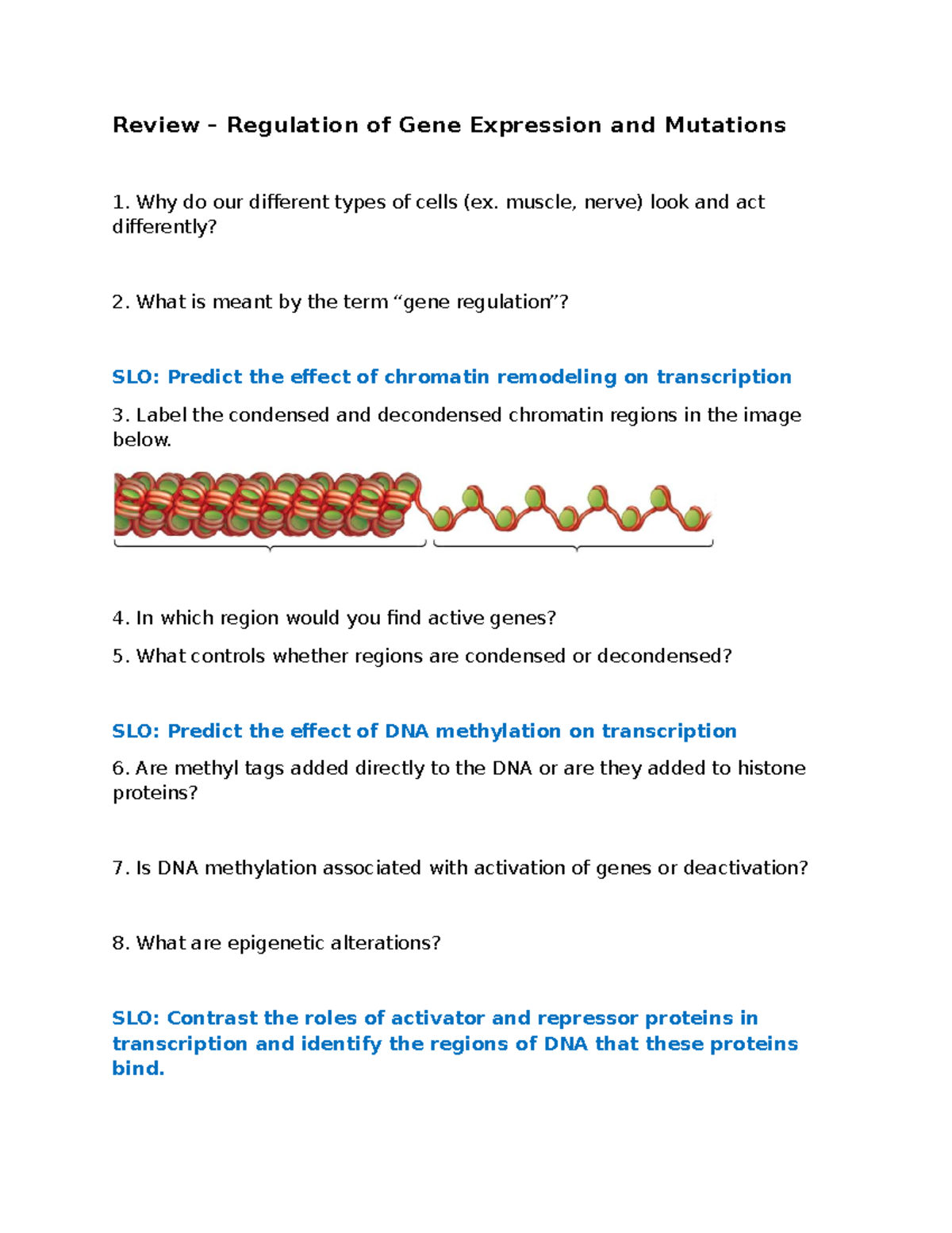 Gene Regulation & Mutations Review (BIO 101) - Studocu
