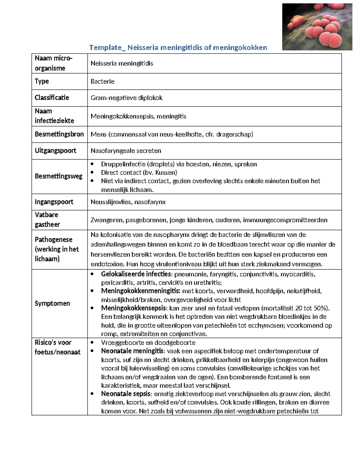Template: Neisseria meningitidis en Meningokokkensepsis Informatie ...