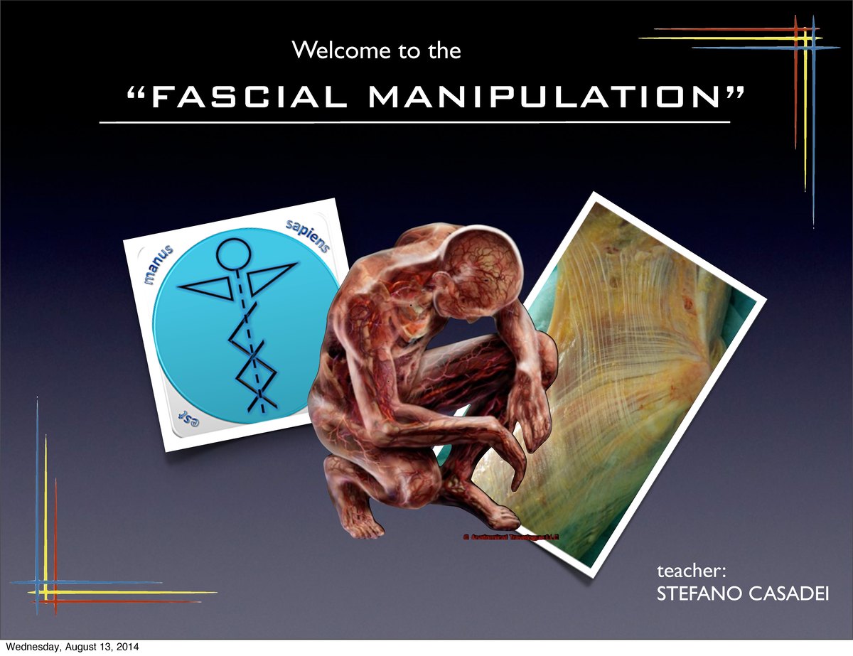 Fascial Anatomy Overview for FASCIAL MANIPULATION Course - Studeersnel
