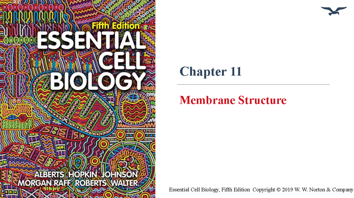 Cellbio Lecture Notes: Chapter 11 - Membrane Structure - Studocu