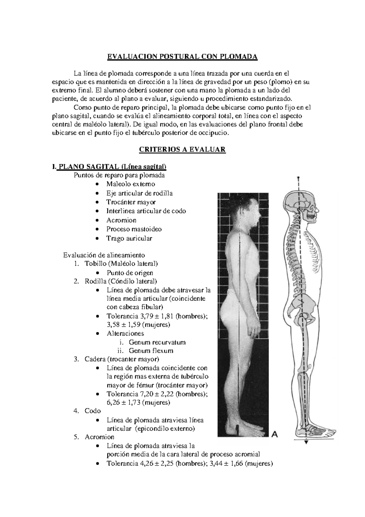 GUÍA DE Evaluación Postural y Alineamiento Corporal (EPS 101) - Studocu