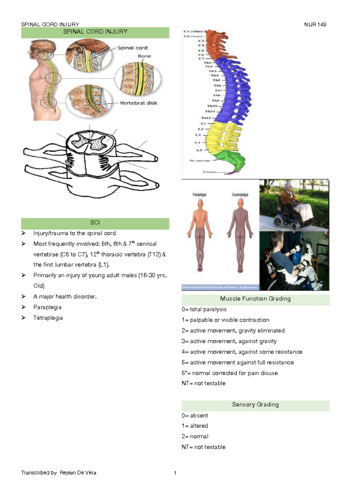 Spinal Cord Injury (SCI) Overview & Management Notes - Studocu