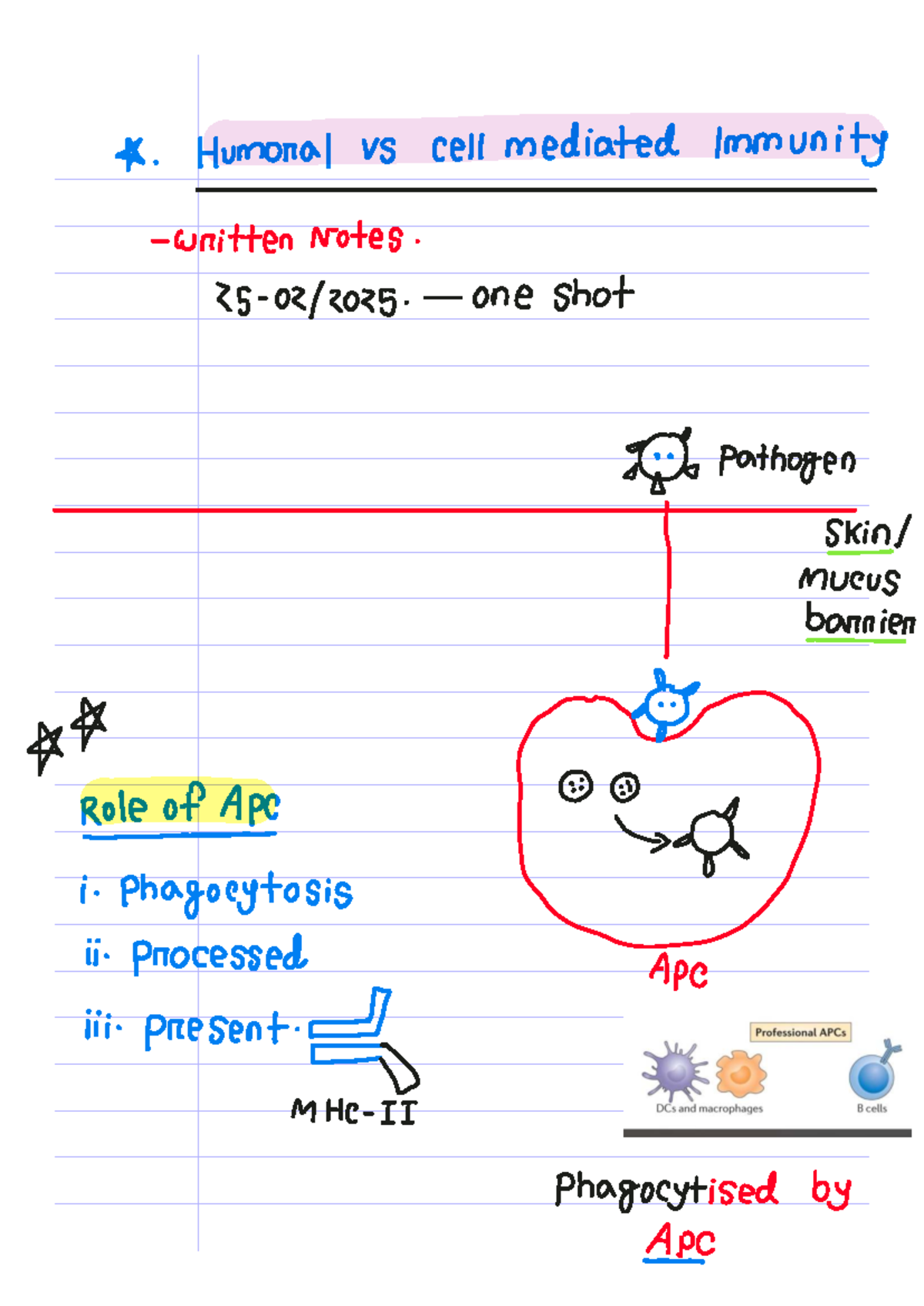 Immunology Notes: Humoral vs Cell-Mediated Immunity (Course Code) - Studocu